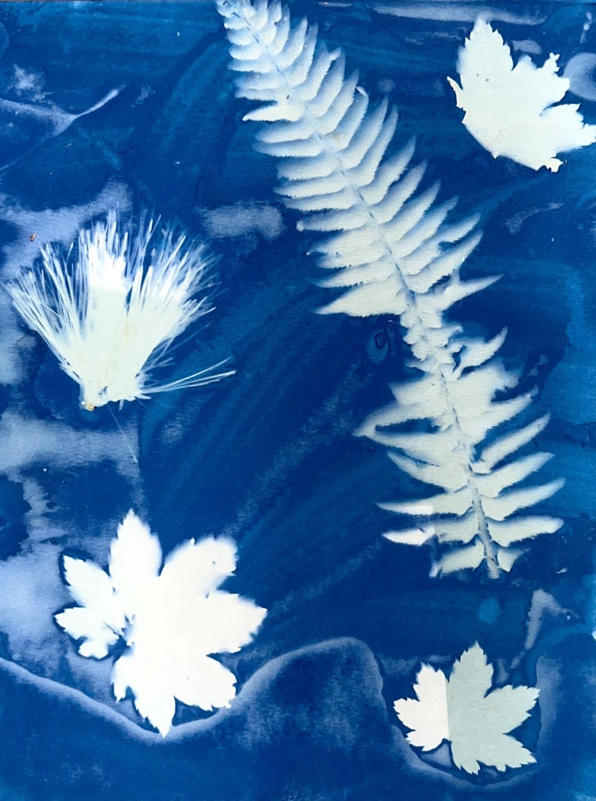 Techniques - IBW High School Printmaking